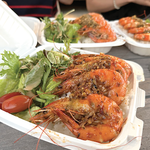 LALALA USA | LA HAWAII LIFE with Satomilk♡ vol.521